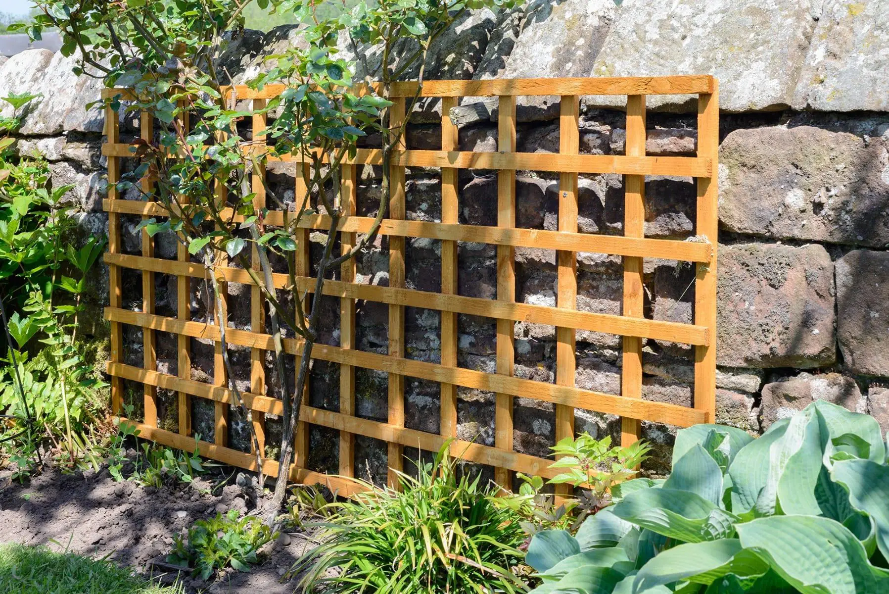 Square Wood Trellis